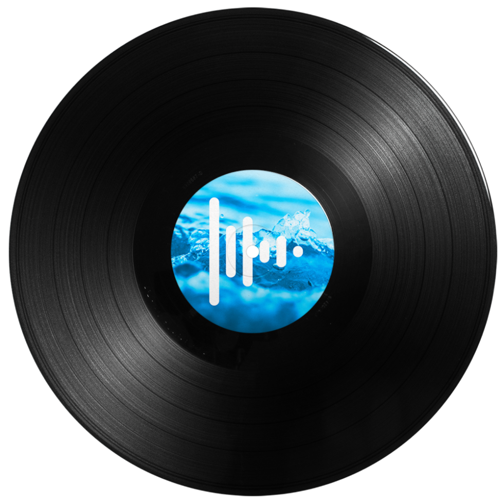 Fabricación de discos de vinilo en España | Press Play Vinyl